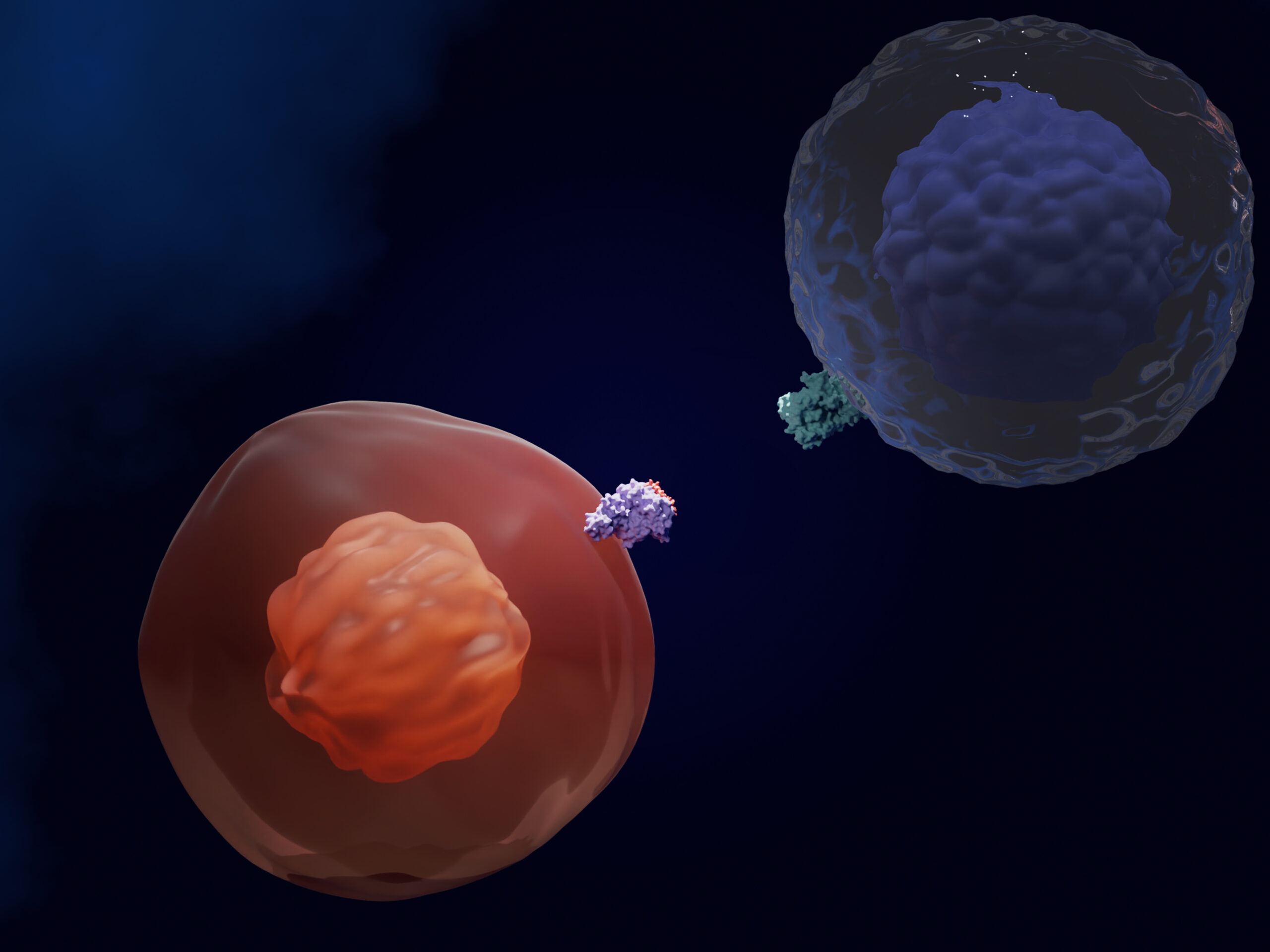 TCELLOGY – T CELL SCIENCE FOR HUMANITY